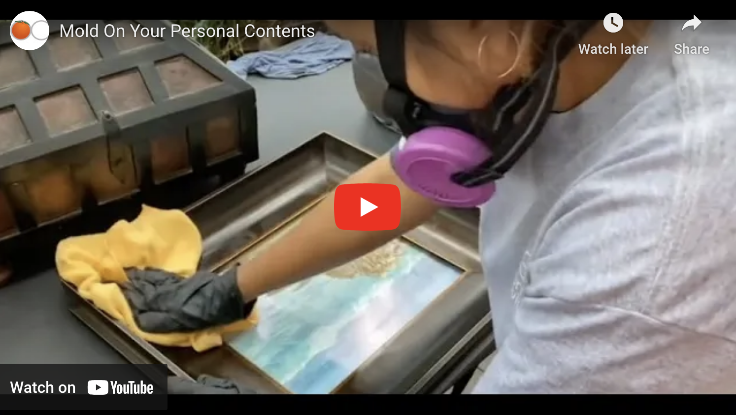 Mold Content Cleaning in Corona del Mar | Orange County Restoration ...